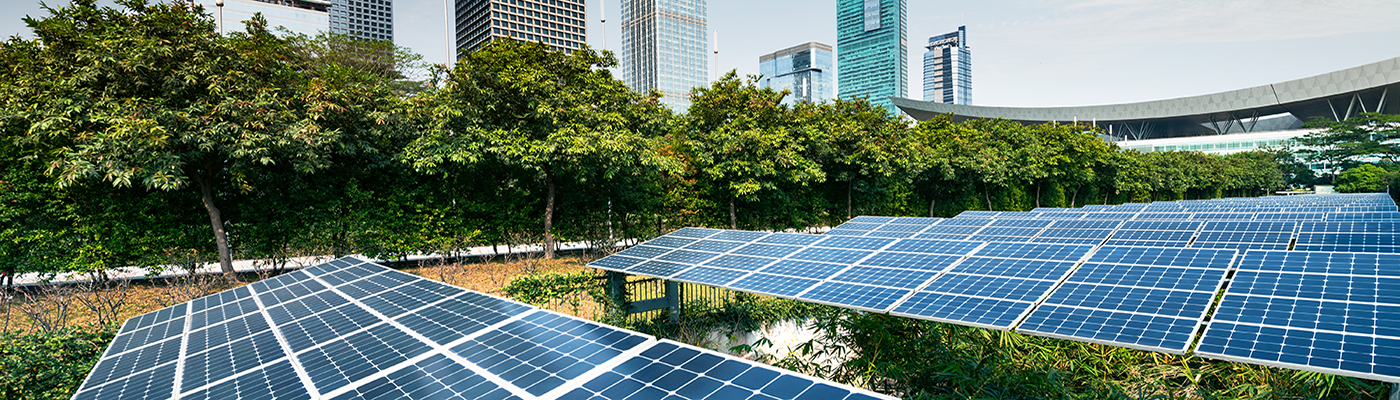 Dabney S. Lancaster Community College LEED Green Associate (GA) Online ...